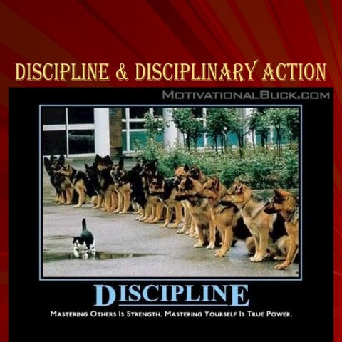 Discipline concept in management and behavior | PPT