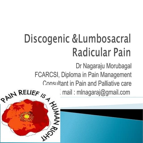 Discogenic pain | PPT