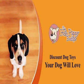 Discount dog toys your dog will love | PPT