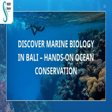 Discover Marine Biology in Bali – Hands-On Ocean Conservation.pptx