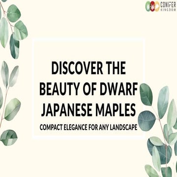 Unmatched Color Palette for Every Season | PDF