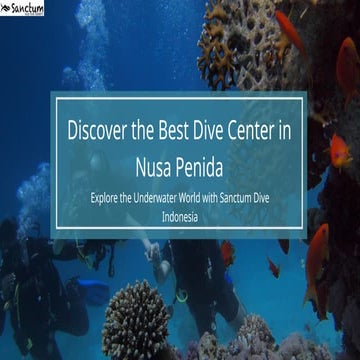 Experience the Magic: Manta Dive Adventures in Nusa Penida | PPTX