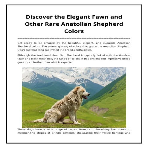 Discover the Elegant Fawn and Other Rare Anatolian Shepherd Colors.docx