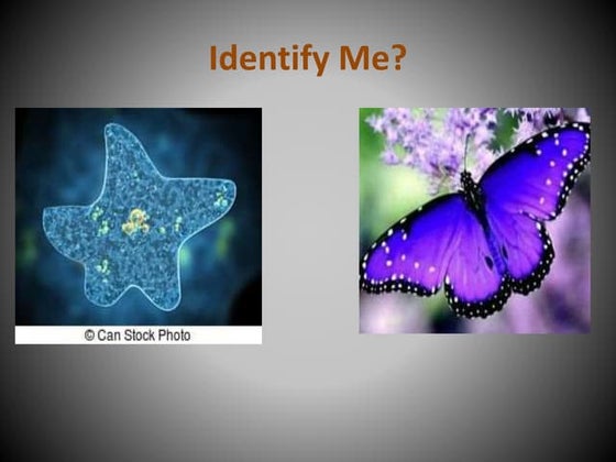 The Cell Theory Timeline | PPT