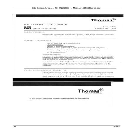 Disc personprofil udtalelser ocj | DOC