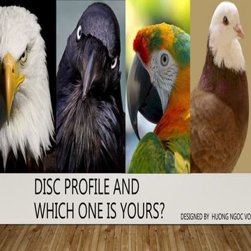 Disc profile | PPTX