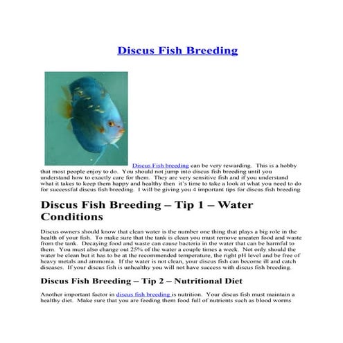 Discus fish breeding | DOC