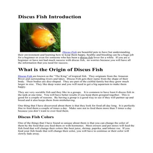 Discus fish introduction | DOC