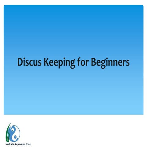 Discus keeping for beginners | PPTX