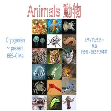 瞬間後置修飾：分詞編 Gerund | PPT