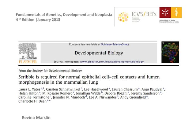 Discussion paper fundamentals of genetic, devlpm. and neopl. (1) | PPT Discussion paper fundamentals of genetic, devlpm. and neopl. (1) | PPT