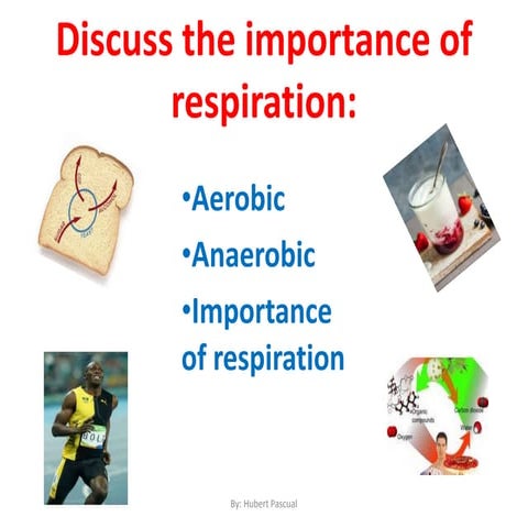 Discuss the importance of respiration | PPTX