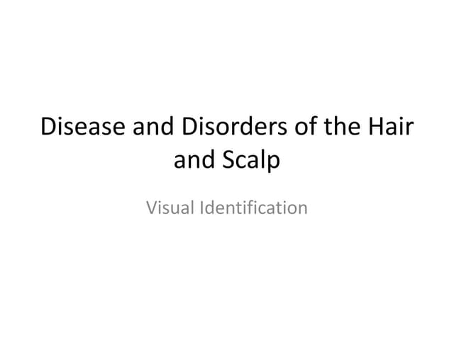 Scalp | PPTX