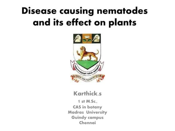 Root and tuber by gyarko | PDF