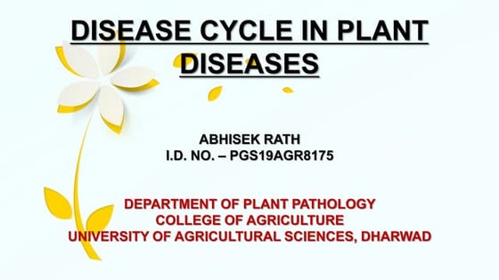 Disease triangle and disease cycle | PDF | Infectious Diseases | Diseases and Conditions