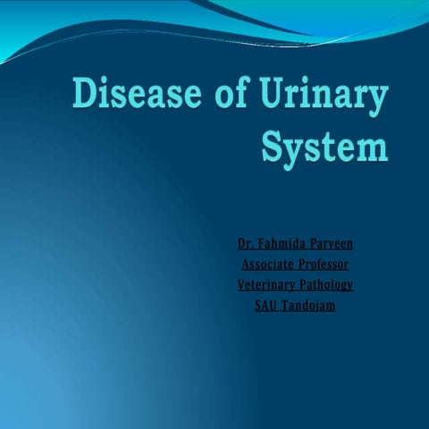 Disease of Urinary System.pptx