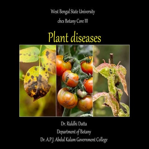 Plant Diseases (Part I) | PPTX