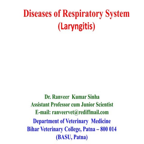 Diseases-of-Respiratory-System.ppt with good idetx | PPTX | Lung and ...