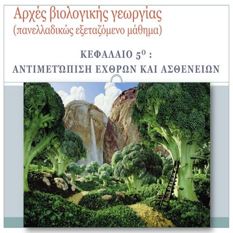 5. η διαδικασια τησ μορφωσησ. ο αθηναιοσ και η εργασια. η αθηνα ...