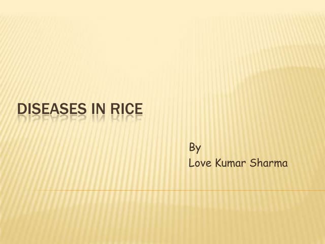 Blast of rice | PPT