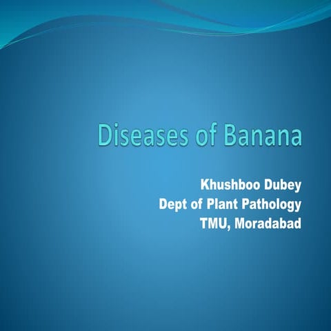 Diseases of banana | PPTX
