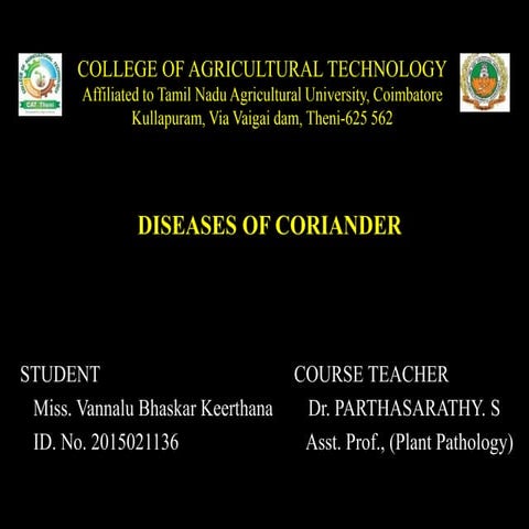 Diseases of coriander | PPTX