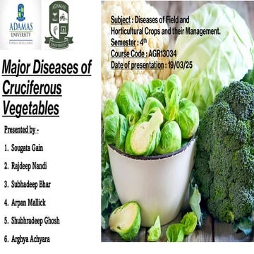 Diseases of Cruciferous Vegetables in details | PDF