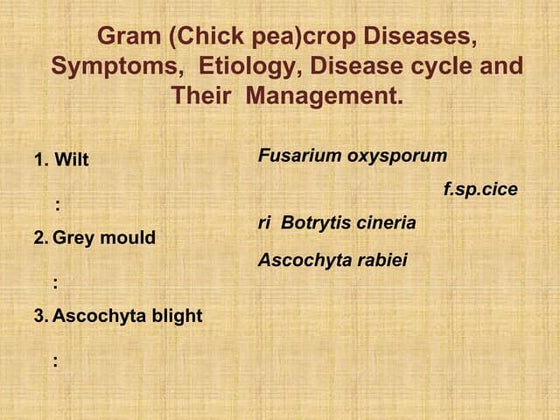 Diseases of Potato | PPT