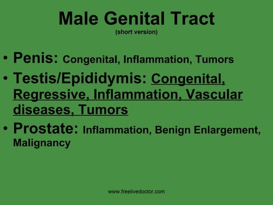AETCOM module 2.4 for II phase undergraduates | PPT