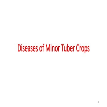 diseases of minor tubers plant pathology | PDF
