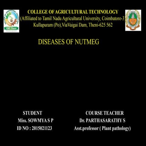 Diseases of nutmeg | PPTX