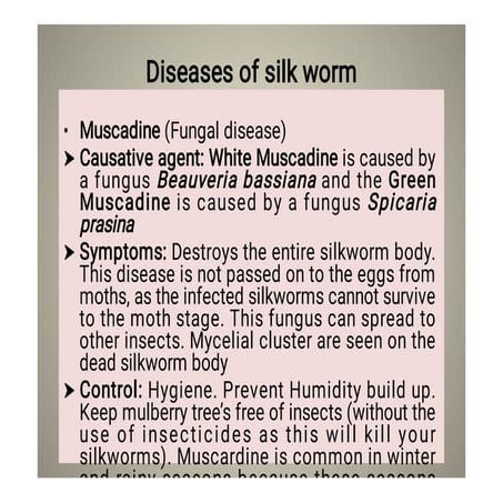 Diseases of Silk Worm in Sericulture ppt.pdf