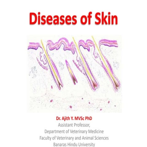 Diseases of skin - Veterinary Dermatology | PPTX