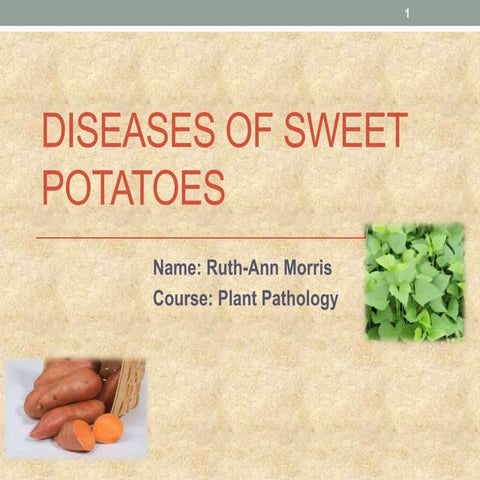 Diseases of sweet potatoes | PPTX