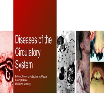 Diseases of the Circulatory System | PPTX