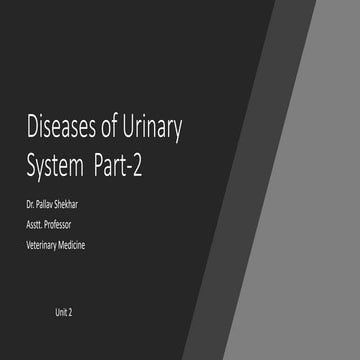DISEASES RELATED TO URINARY SYSTEM IN RUMINANT ANIMAL | PPTX