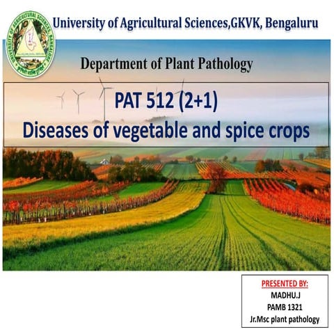 Diseases of vegetable and spice crops.pptx