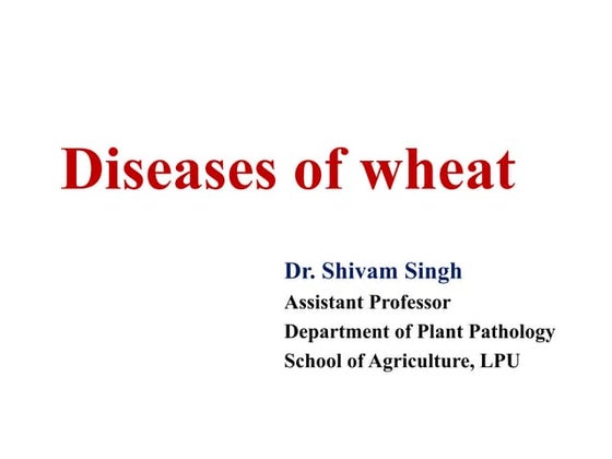 DISEASES OF PEARL MILLET (BAJRA).pptx | Gardening | Home & Garden