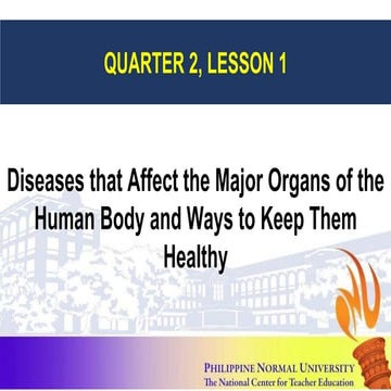 Diseases that Affect the Major Organs of the Human Body and Ways to ...