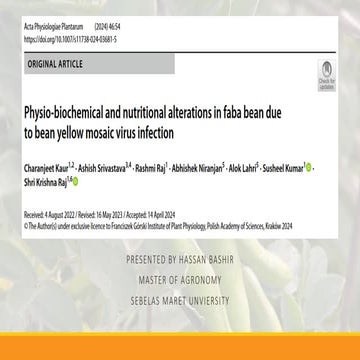 Flooding Stress in plants and this effects | PPTX