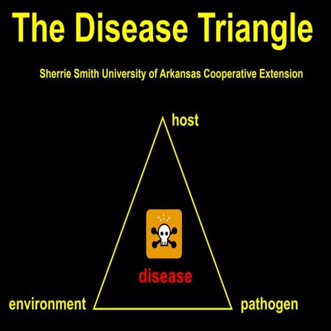 Disease triangle.pdf