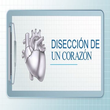 DISECCIÓN DE UN CORAZÓN, PROCEDIMIENTOS Y PASOS | PDF