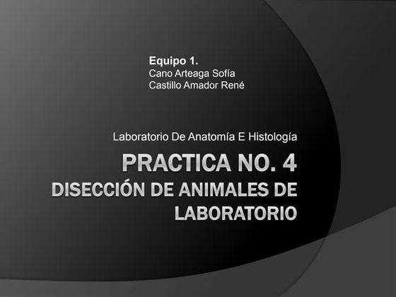 Disección de una rana | PPT