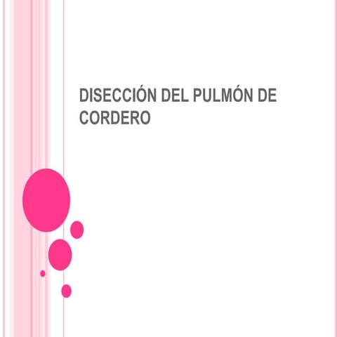Pulmón, corazón e hígado de cordero | PPTX