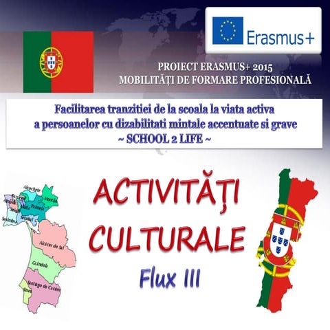 Diseminare activitati culturale flux iii | PDF