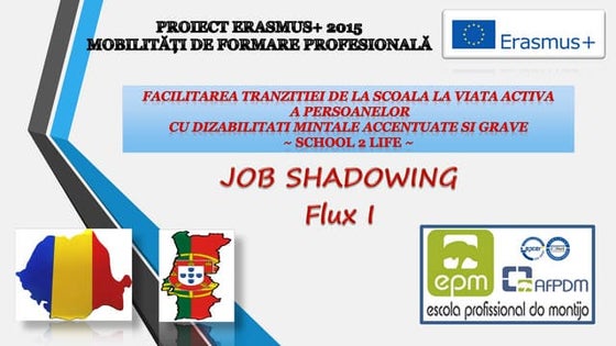 Diseminare job shadowing flux iii | PPT