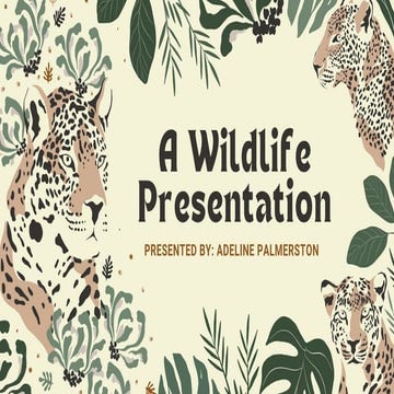 Wildlife presentation. why we need to care for it? | PDF