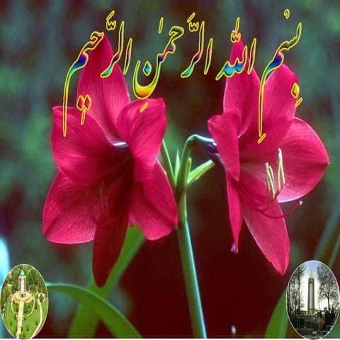 disk diffusion.pptx for med studen for meds | PPTX