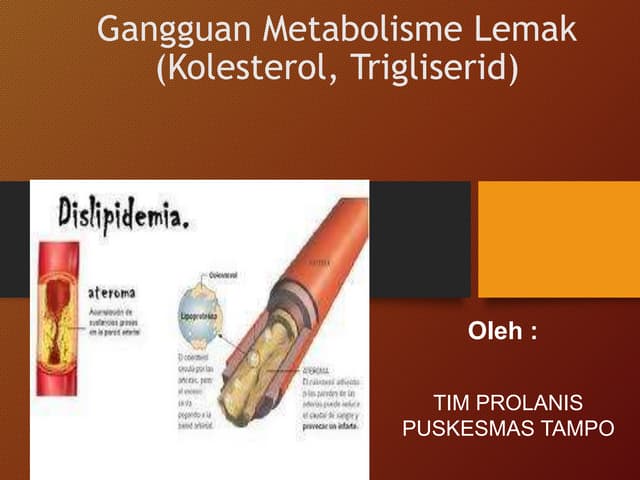 Dislipidemia utk AWAM | PPT