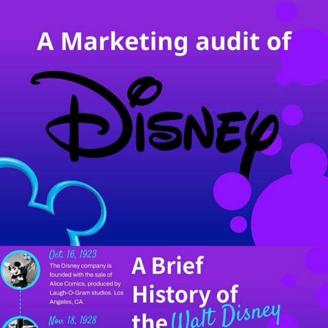Disney audit | PDF